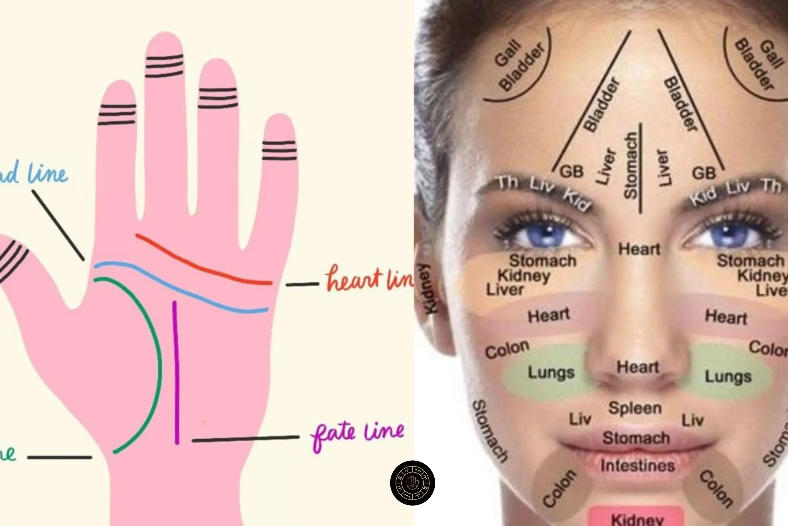 Palm reading zodiac sign 60 photos - Astrologytoyou.com